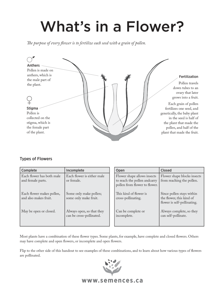 Our Books – Seeds of Diversity