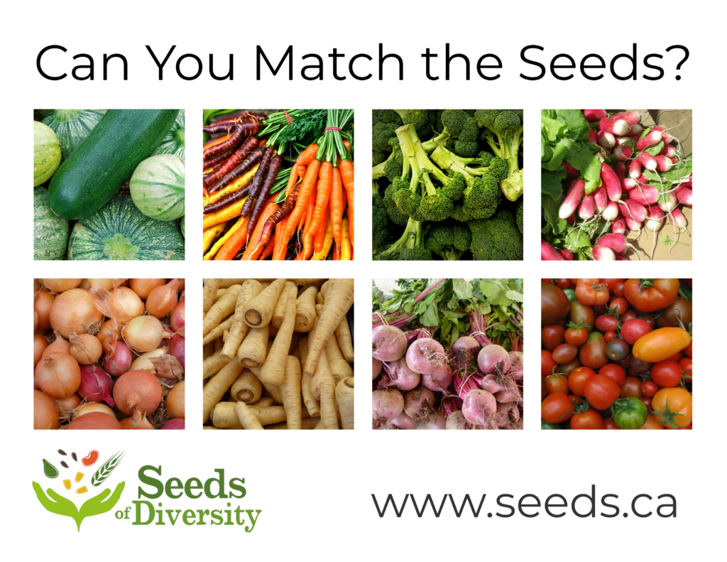 For Seeds of Diversity Volunteers – Seeds of Diversity
