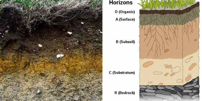 Soils: A Crash Course - Youth in Food Systems