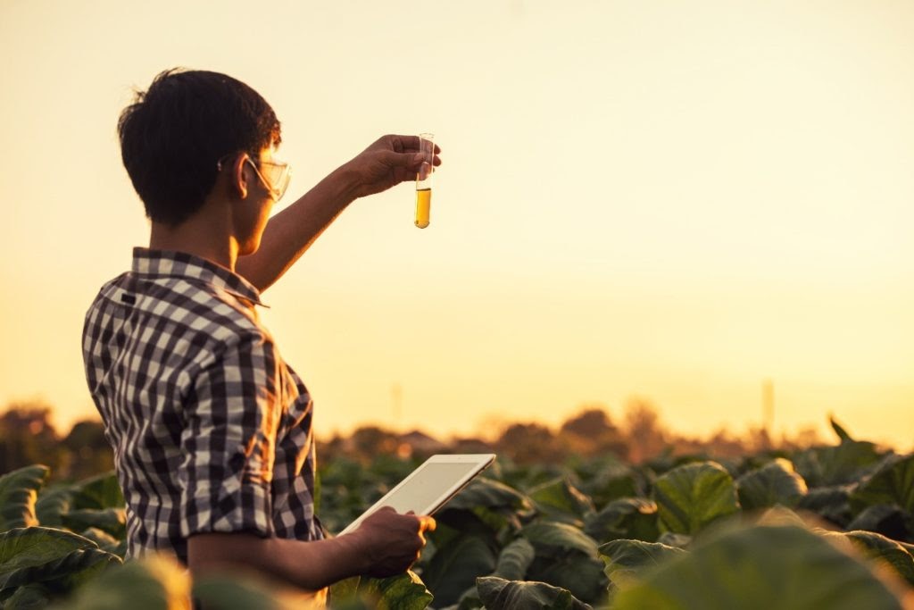 Choosing a Career in the Agri-Food System - Youth in Food Systems
