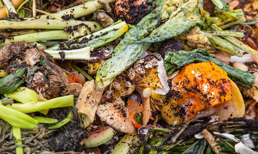 Food Waste in Canada - Youth in Food Systems
