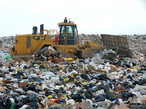 Food Waste in Canada - Youth in Food Systems