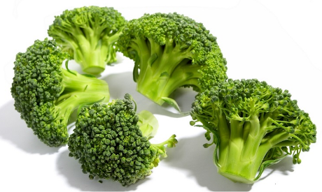 Broccoli: A vegetable that shows its purpose - Youth in Food Systems