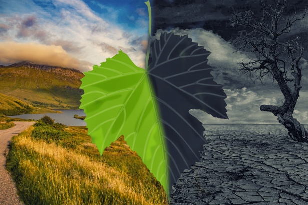 The Effect of Climate Change on Food Systems - Youth in Food Systems