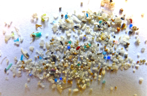 What We Are Consuming-an Insight to Microplastics in Our Foods - Youth ...
