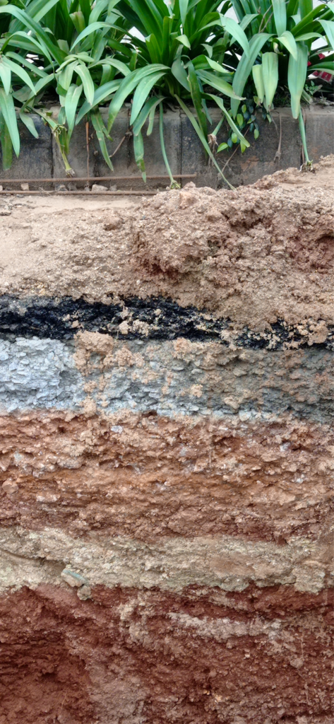 Looking Beneath the Surface: A Guide to Soil Composition - Youth in ...