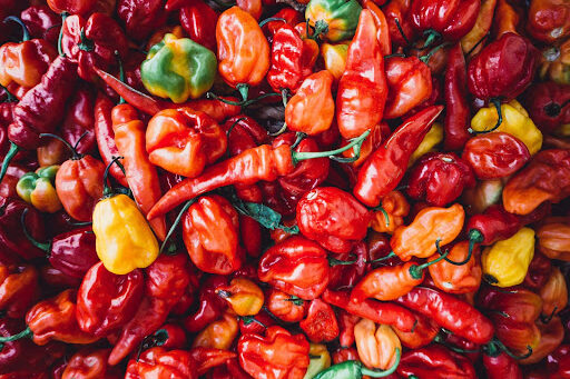 The Science of Spice - Youth in Food Systems