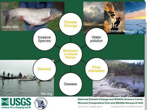 How does global warming affect the food chain and the ecosystem ...
