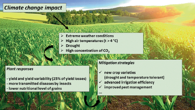How does global warming affect the food chain and the ecosystem ...