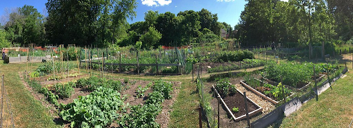 Building Inclusive Community Gardens - Youth in Food Systems