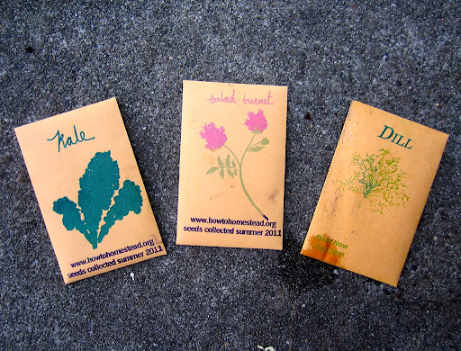Giving the Gifts of Seeds - Youth in Food Systems