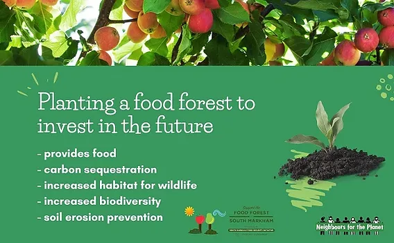 The Significance of Food Forests - Youth in Food Systems