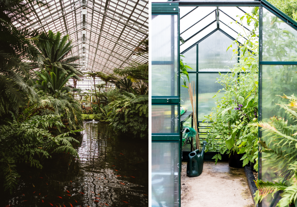 From Cucumbers To Climate Change: Why Greenhouses Are Humid and What ...